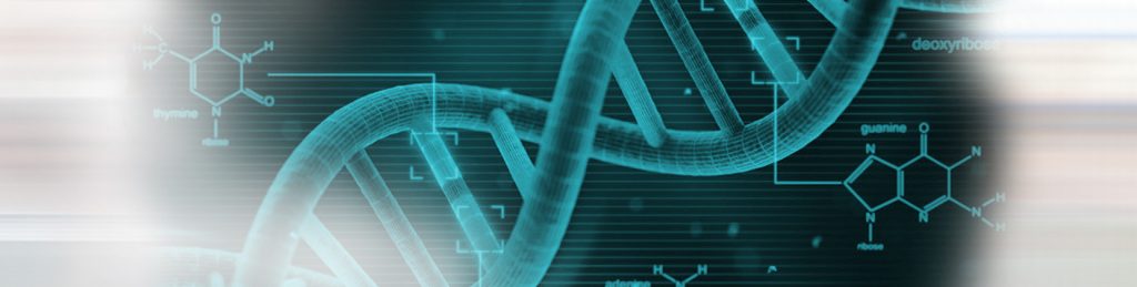 DNA SmartMarks – BrandProtection